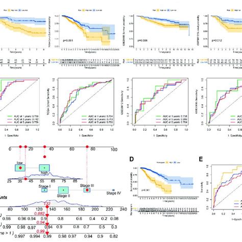 performance evaluation of model prognosis and construction of nomogram