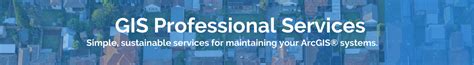 Gis Professional Services — Argis Solutions Inc