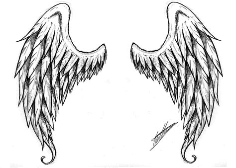 Realistic Angel Wings Drawing At Explore