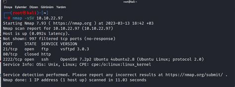 TryHackMe Simple CTF Mr0Wido S Blog