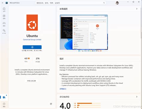 Windows Subsystem For Linux Wsl Ubuntu 最新安装教程（202411 更新） Csdn博客