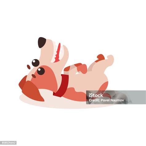잭 러셀 테리어 문자 누워 거꾸로 그의 뒤쪽에 귀여운 재미 개 벡터 일러스트 레이 션 개에 대한 스톡 벡터 아트 및 기타 이미지 개 귀여운 독일 Istock