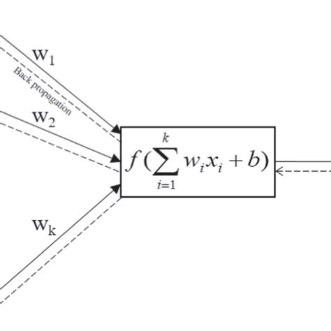 The Structure Of A Single Neuron Download Scientific Diagram
