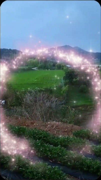 미운사랑 박서진 기다림 고향 향수 그리움 추억 Youtube