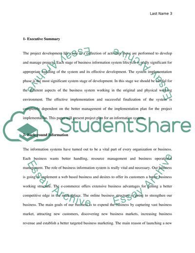 Implementation Plan Essay Example Topics And Well Written Essays