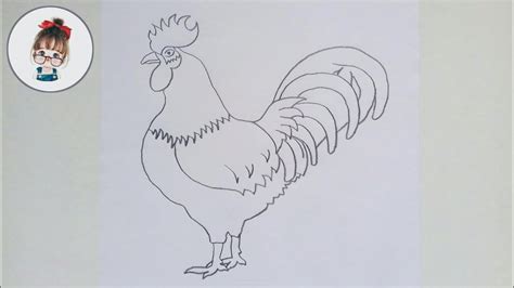How To Draw Cock Easy Step By Step Easy Cock Sketch MTCRDrawing YouTube