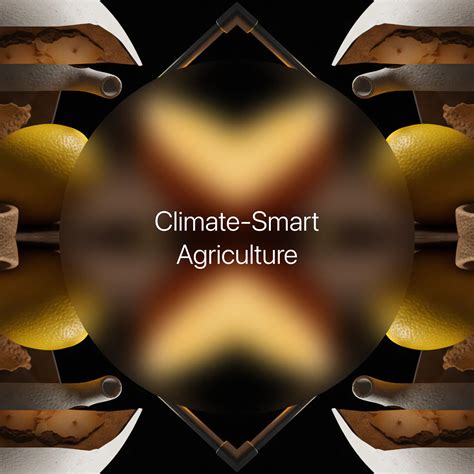 Climate Smart Agriculture → Term