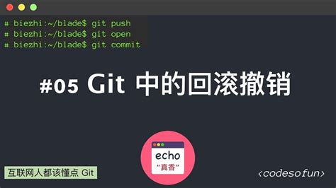 互联网人都该懂点 Git 05 Git中的回滚撤销 YouTube