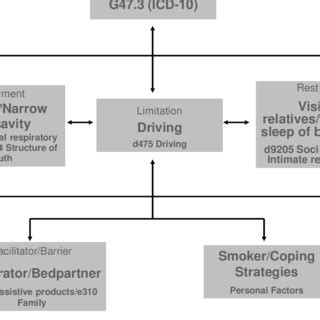 B ICF Model With Case Example Download Scientific Diagram