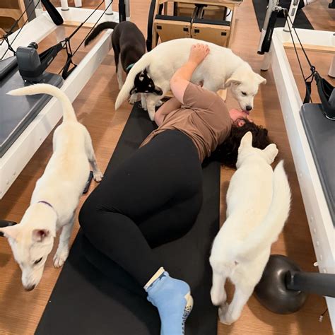 The George Pack Ellijay Ga