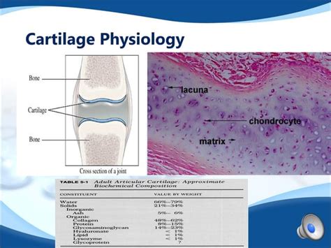 Less Current Treatment Of Cartilage Defects Ppt