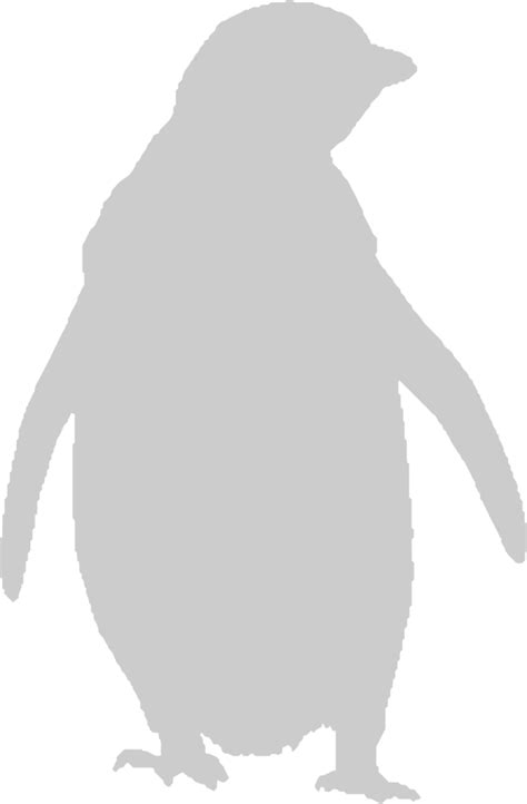 Penguin 36633648 Vector Art At Vecteezy