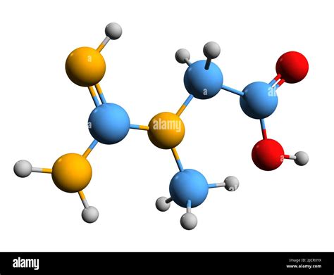 3d Image Of Creatine Skeletal Formula Molecular Chemical Structure Of