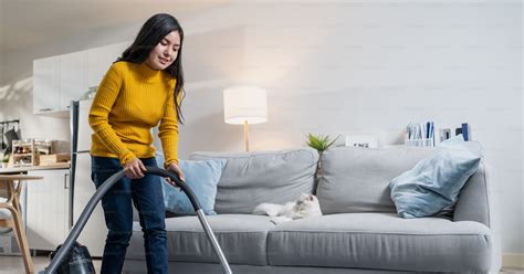 아시아 여자는 작은 국내 고양이의 소파에서 먼지와 모피를 진공 청소기로 청소합니다 매력적인 아름다운 여성은 진공 청소를 사용하고 거실에서 집안일과 집안일을 하고 집에서