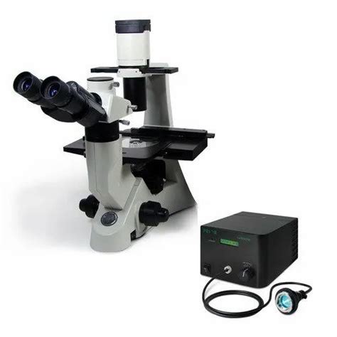 Inverted Fluorescence Microscope At ₹ 40000 Unit Panniyankara Kozhikode Id 21434688762