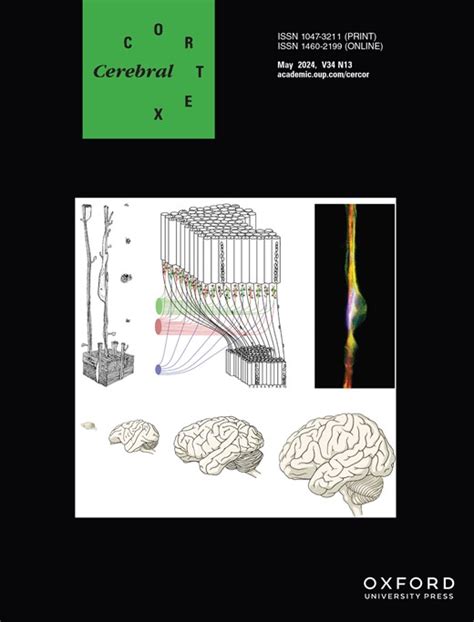 Volume 34 Issue 13 Cerebral Cortex Oxford Academic