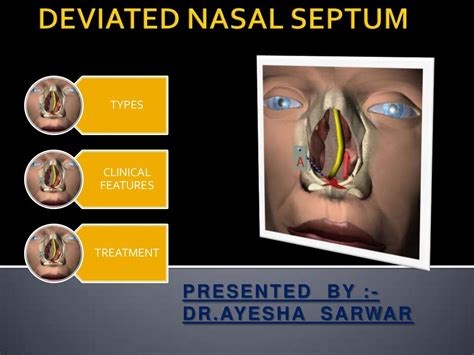 Nasal Septum