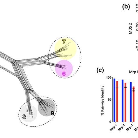 Splitstree Network And Partitioning Around Medoids Grouping Of M And