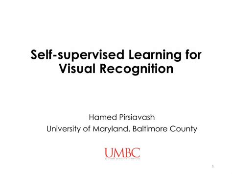 pdf self supervised learning for visual recognition dokumen tips