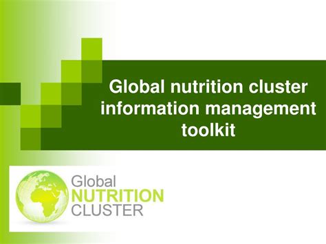 Ppt Global Nutrition Cluster Information Management Toolkit Powerpoint Presentation Id9235648