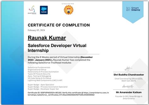 Raunak Kumar On Linkedin Salesforce Virtualinternship Trailhead Superbadges Techskills…