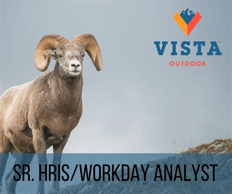 Kevin Paulson On Linkedin This Is A Tremendous Opportunity For Someone With Hr Experience