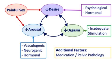Case SAP New Version Flashcards Quizlet
