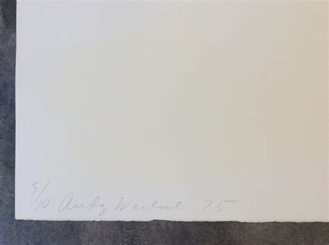 Andy Warhol Marcia Weisman Sold 1975 Joseph Fine Art