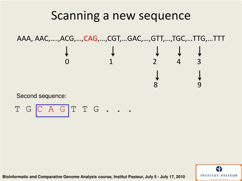 Ppt Methods For Repeat Detection In Nucleotide Sequences Powerpoint Presentation Id 1999972