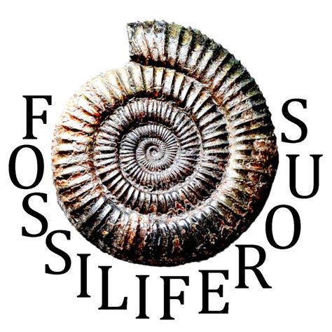 Fossiliferous Youtube