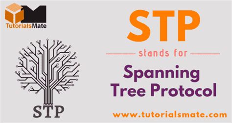 STP Full Form Meaning Of STP In Computer TutorialsMate