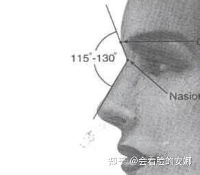 鼻额角和鼻面角功课 知乎