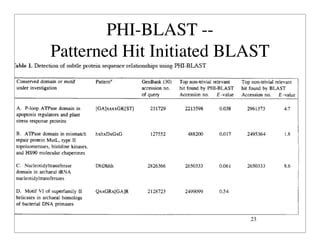 Bio Informatics Sequence Tags Log Odds And Profile PPT