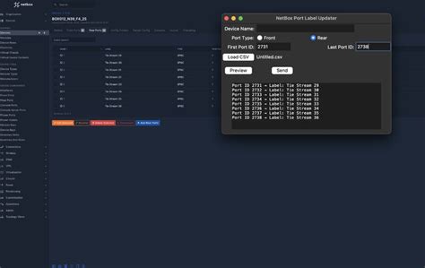 Netbox Python Automation Karl Ancia