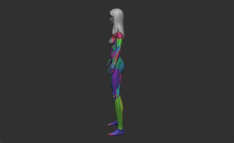 3d Woman Anatomy Constructor Model Turbosquid 2286244