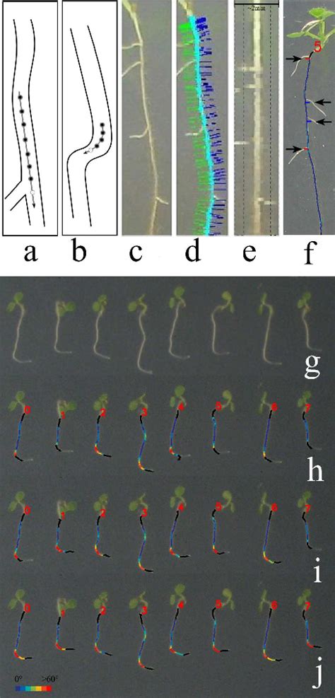 A Tracking Prediction Using A Low Bending Model And B A Download Scientific Diagram