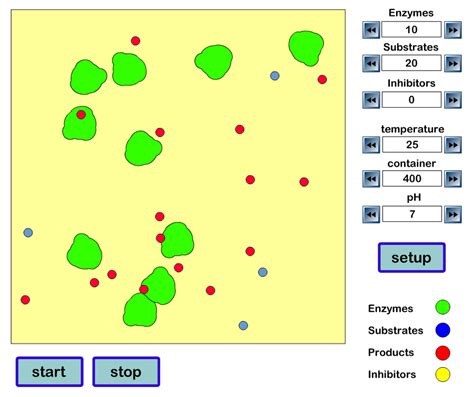 Enzyme Reaction Simulation Ict Portfolio Enzyme Reaction Simulation Ict Portfolio