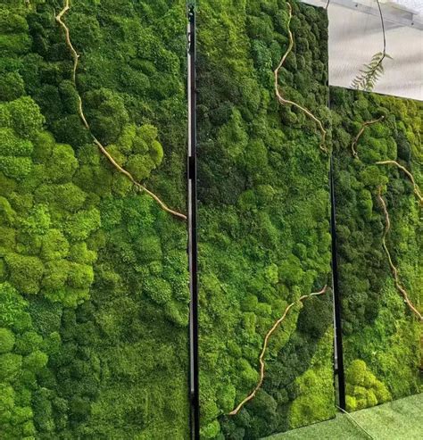 永生苔藓 青苔 绿苔 陕西永生苔藓 西安永生苔藓 永生苔藓墙 永生苔藓景观