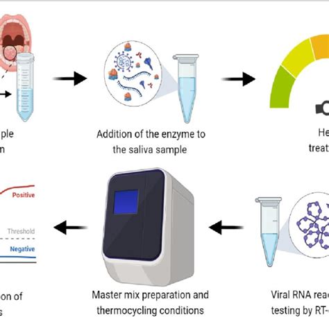 Representative Outline For The Detection Method For SARS CoV 2 In Download Scientific Diagram