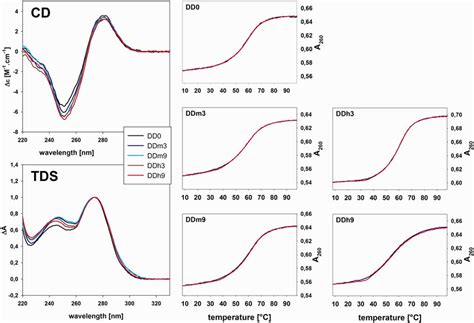 Cd And Uv Spectroscopic Characteristics Of The Oligonucleotides In 10 Download Scientific
