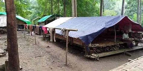 ပင်လည်ဘူးမြို့နယ်က စစ်ဘေးရှောင်များ ဆေးဝါးနှင့် အမိုးအကာလိုအပ်