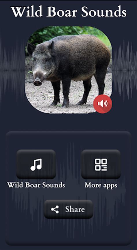 Android Için Wild Boar Sounds İndir