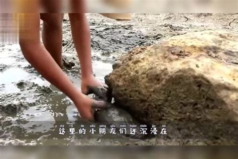 男孩在泥巴里捞鱼，谁知一条大鱼突然窜了出来，镜头记录全程大鱼泥巴镜头