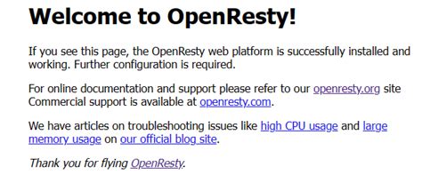 502 Bad Gateway Openresty Nginx Fault R Nginxproxymanager