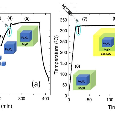 Temperature Ramp Profile Used In The Three Step High Temperature Download Scientific Diagram