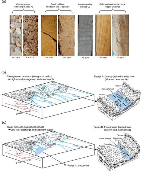 Overview Of Observed Facies And Inferred Evolution Of The Depositional Download Scientific