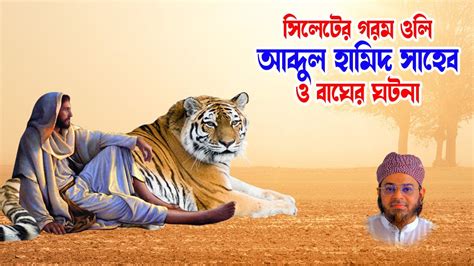 Mufti Nasir Uddin Ansari । মুফতি নাসির উদ্দিন । Bd Waz আব্দুল হামিদ সাহেব রহঃ Ansari Waz