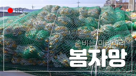 미리 준비하는 봄자망~ 자망값에 ㅎㄷㄷ Youtube