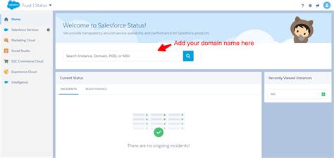 How To Check Salesforce Current Release Version The Tech Paper