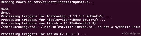 成功解决wsl2上的ubuntu2204执行sudo Apt Get Update指令报错问题wsl Sudo Apt Get Csdn博客